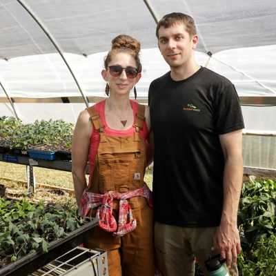 Who is Bootstrap Farmer?