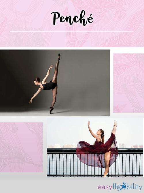 Penche - Anatomy – EasyFlexibility