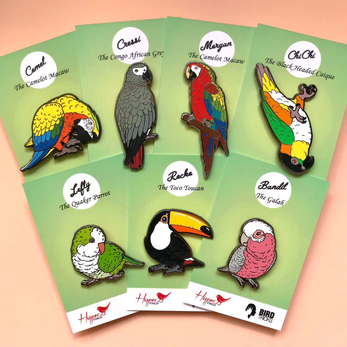 BirdTricks Merchandise