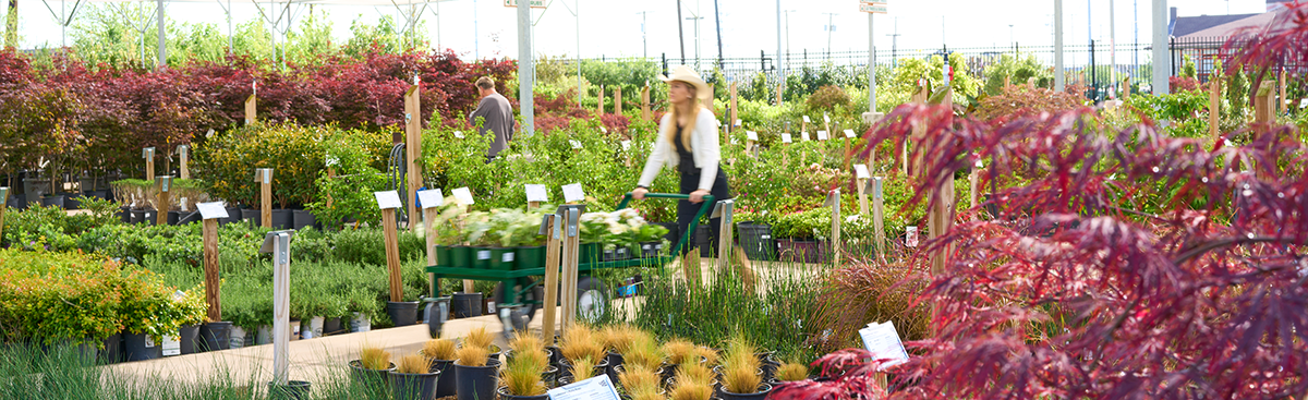 Landscape Services at Green Acres — Green Acres Nursery & Supply