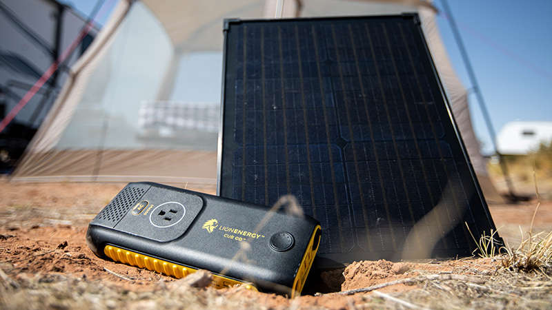 We Are Lion – Lion Energy